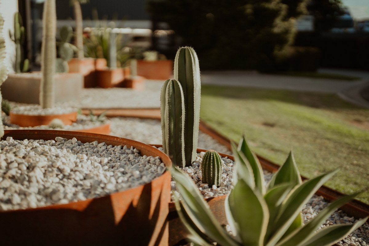 Planter Rings - Lander Metals