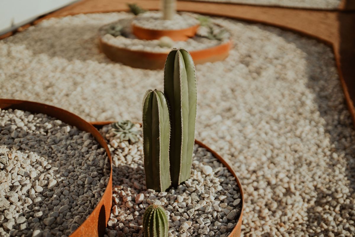 Planter Rings - Lander Metals