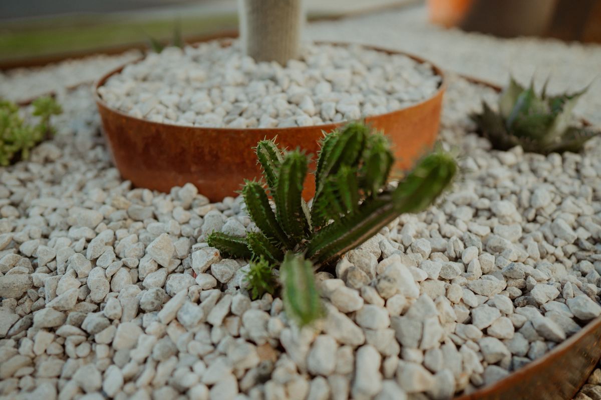 Planter & Garden Bed Rings - Lander Metals