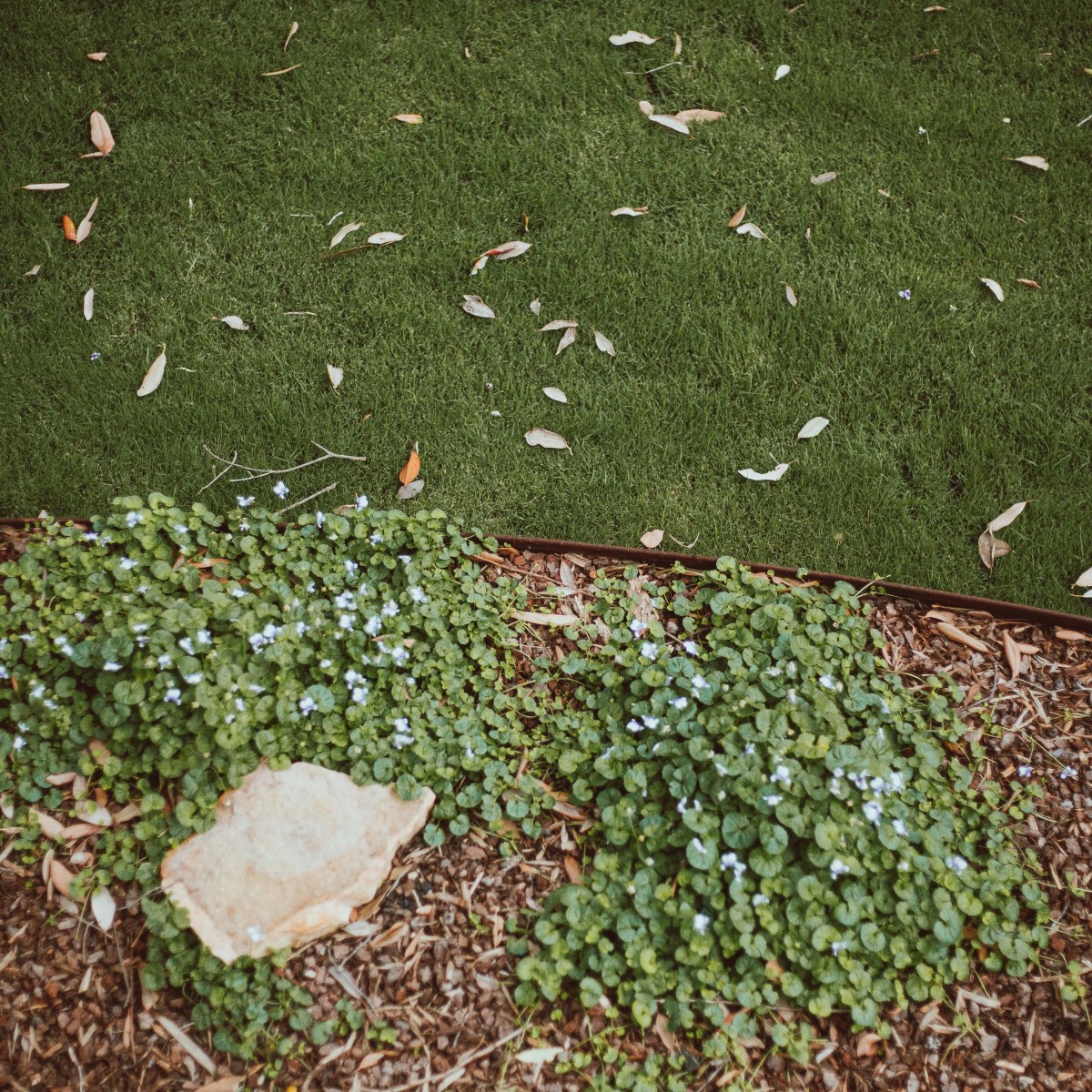 Garden Edging - Lander Metals